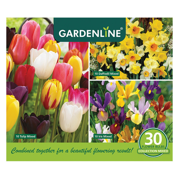 Gardenline Mixed Bulb Basket Same-Day Delivery or Pickup | ALDI