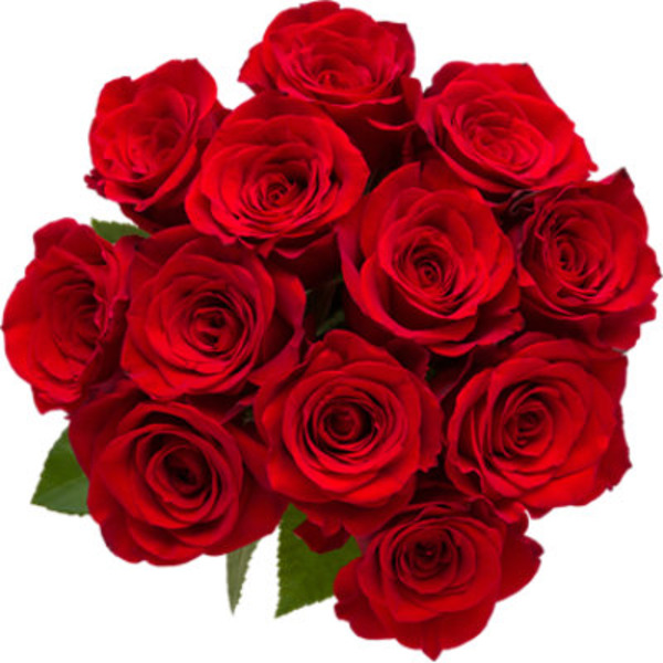 Safeway Debi Lilly Red Rose Bouquet 12 Stem Same-Day Delivery or Pickup ...