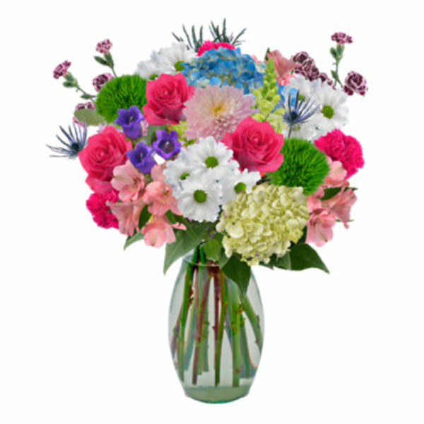 Safeway Designer's Choice Mixed Arrangement (colors may vary) Same-Day Delivery or Pickup ...