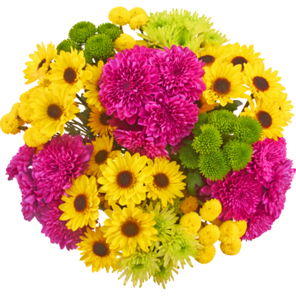 Rainbow Poms Bunch Same-Day Delivery or Pickup | Sprouts Farmers Market