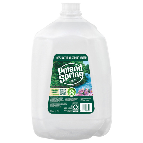 Wegmans Poland Spring Maine Spring Water, 1-gallon jug Same-Day ...