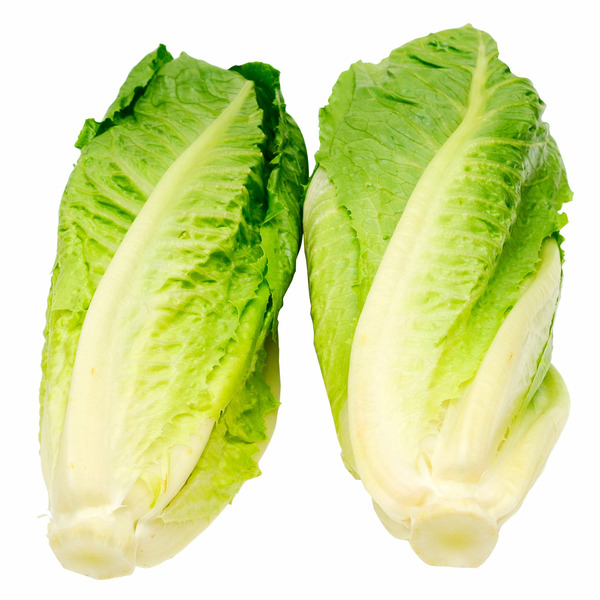Romaine Lettuce Hearts Same-Day Delivery | Costco