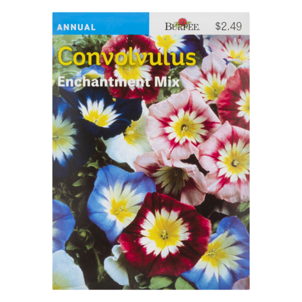 SB Convolvulus Seeds (1 g) - Instacart
