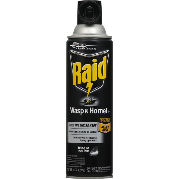 Raid Wasp & Hornet Killer 33 (14 oz) - Instacart