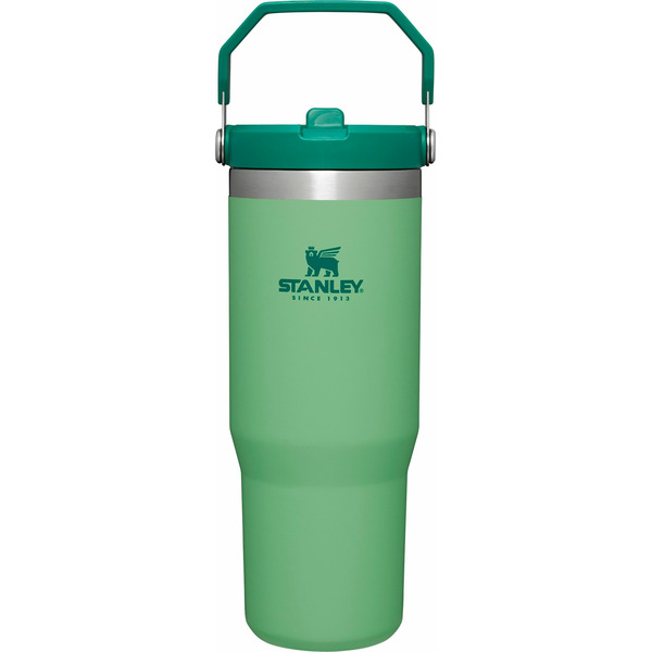 DICK'S Sporting Goods STANLEY IceFlow Tumbler with Flip Straw - Jade ...