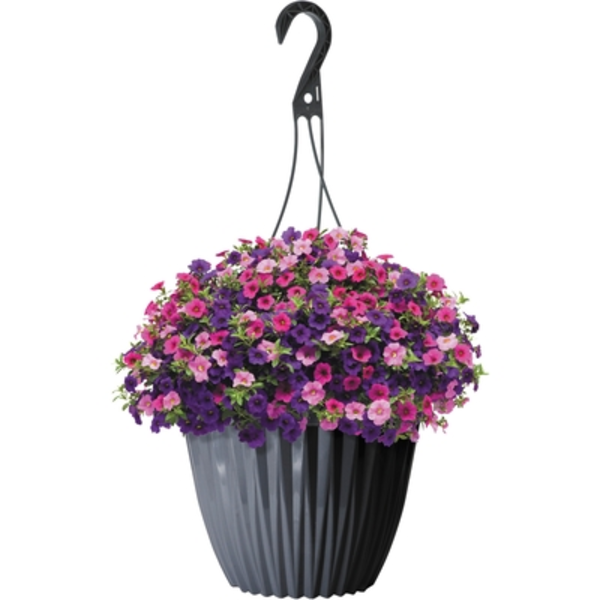 Loblaws President's Choice 11" Deluxe Annual Basket Same-Day Delivery ...