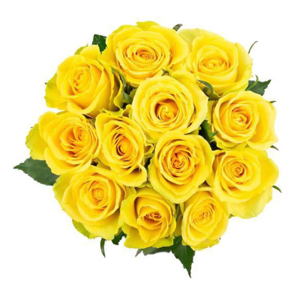 Target Spritz Fresh Cut Valentine's Day Roses - Yellow Same-Day ...