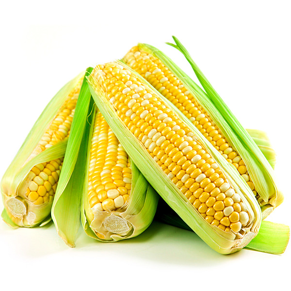 Yellow Sweet Corn Same-Day Delivery or Pickup | Market 32 and Price Chopper