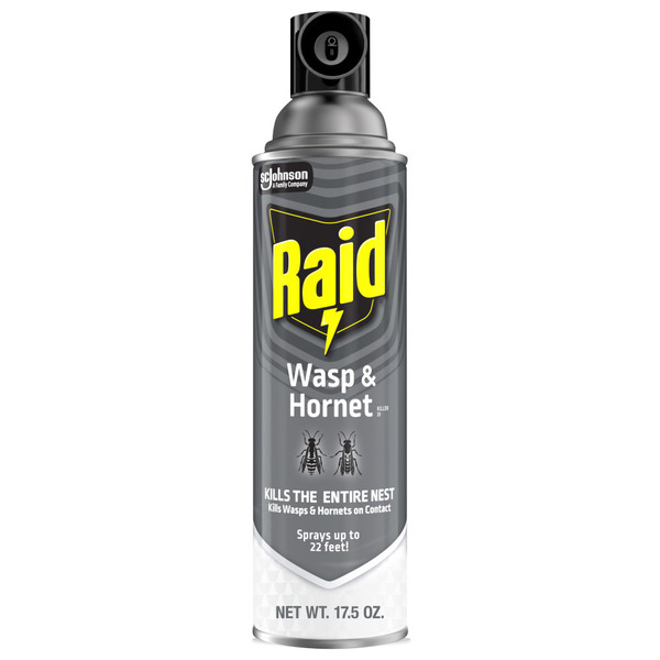 Raid® Wasp & Hornet Killer Insecticide Aerosol Spray Same-Day Delivery ...