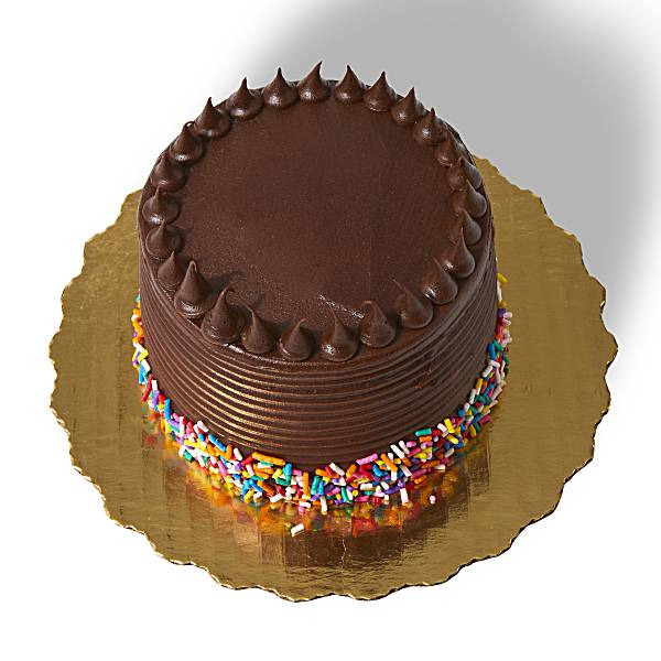 Publix Fudge Rainbow Sprinkle Mini Cake With Icing Same-Day Delivery or ...