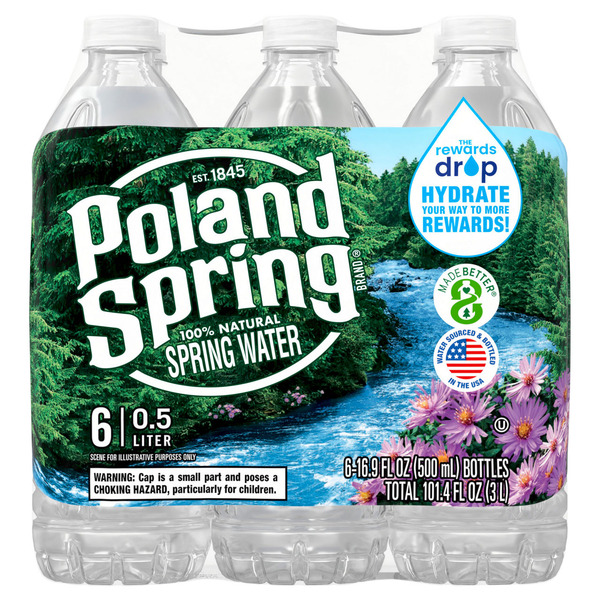 Wegmans Poland Spring Maine Spring Water, 16.9 fl oz bottles (Pack of 6 ...