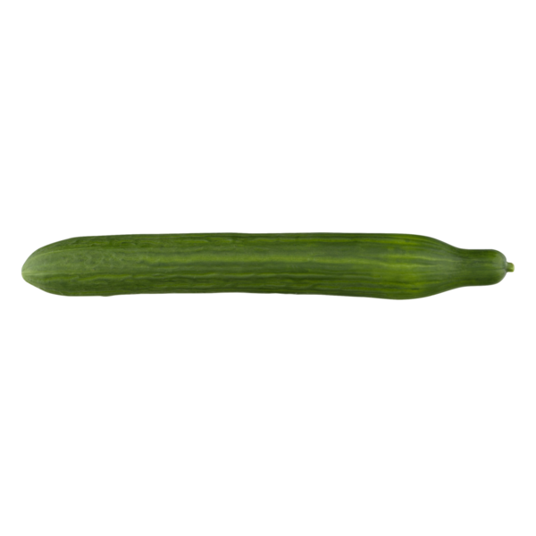 Seedless Cucumber