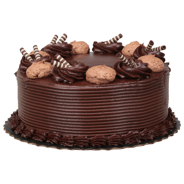 Food Lion 8" Double Layer Double Dutch Fudge Cake Same-Day Delivery or ...