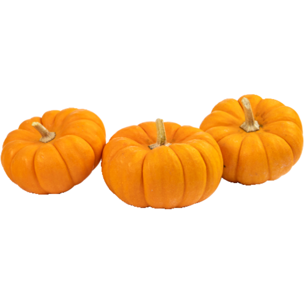 Mini Orange Pumpkin Same-Day Delivery or Pickup | Sprouts Farmers Market