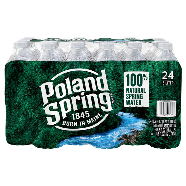 Wegmans Poland Spring Maine Spring Water, 16.9 fl oz bottles (Pack of ...