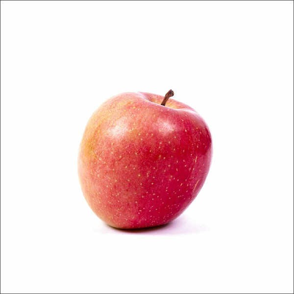 MAIN PLU APPLE- GALA NY STATE Same-Day Delivery | Food Bazaar