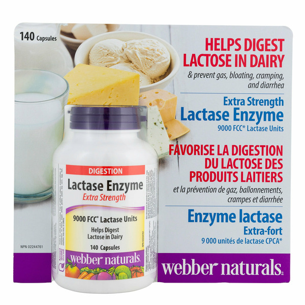 Odyssey Supplements Ultra - Filtrated Lactase Enzyme Dairy Digestion ...