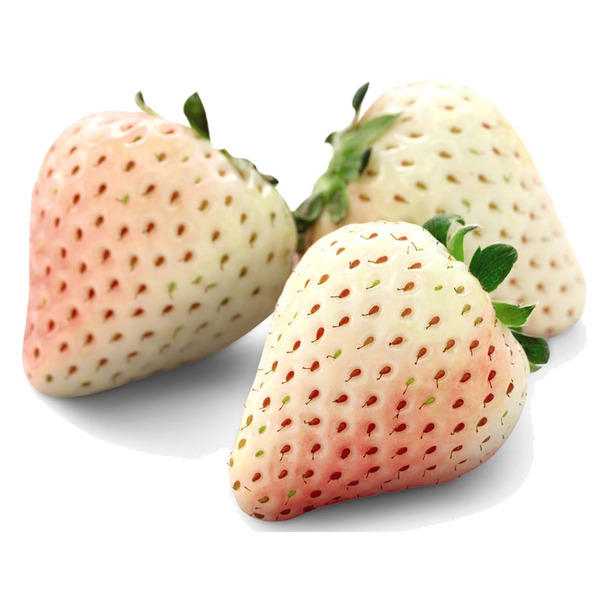 Pineberries Same-Day Delivery or Pickup | ALDI