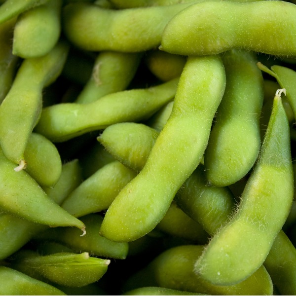 Edamame Beans Same-Day Delivery or Pickup | Harmons