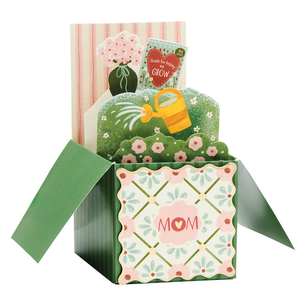 Pembrook Plants Greeting Card Same-Day Delivery or Pickup | ALDI