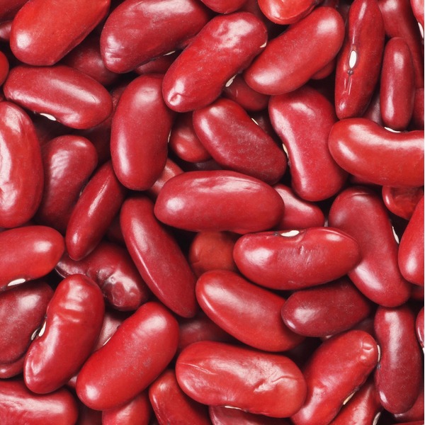 Whole Grain Milling Co. {Local} Organic Dark Red Kidney Beans (per lb ...