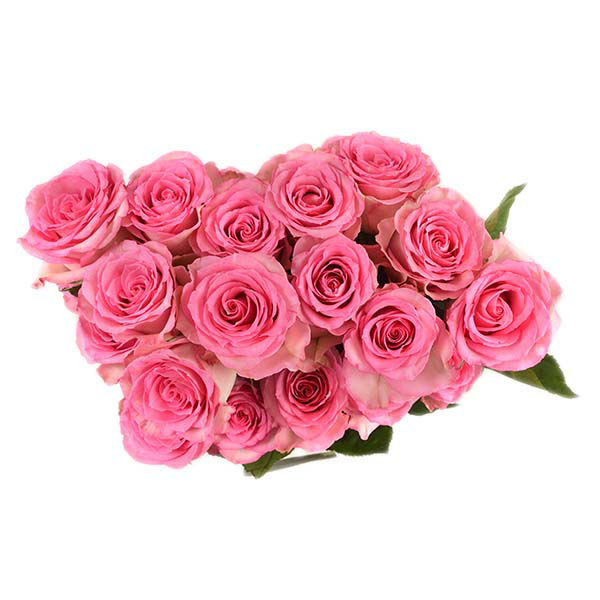 Wegmans Farmer's Bunch Roses Same-Day Delivery or Pickup | Instacart