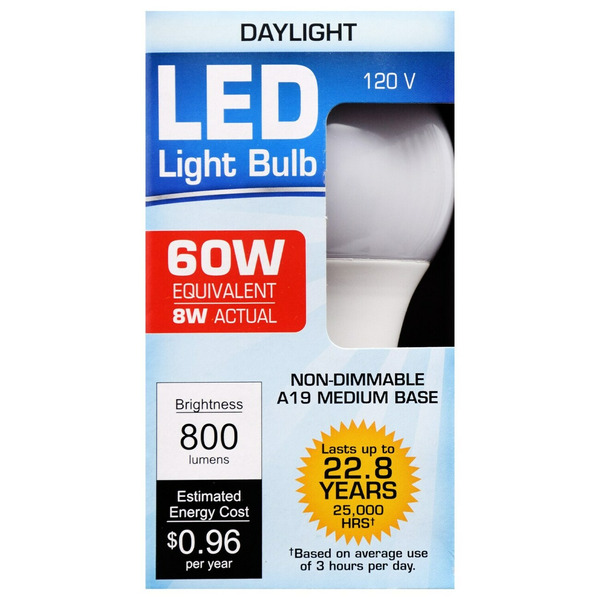 Dollar Tree Daylight 60W Equivalent 8W Actual LED Light Bulb Same-Day ...