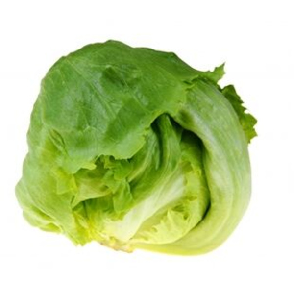 Lettuce in Cello Wrap Delivery or Pickup | Restaurant Depot
