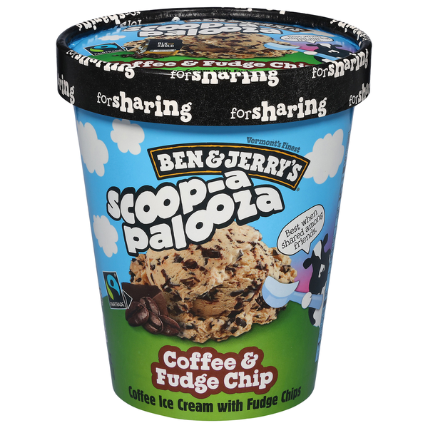 Ben & Jerry's Ice Cream, Scoop-a-Palooza, Coffee & Fudge Chip Same-Day ...