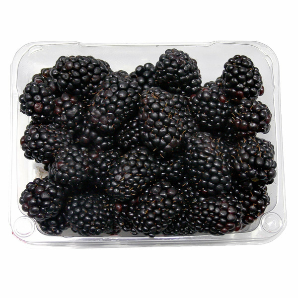 Blackberries Package Same-Day Delivery | Costco