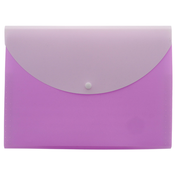 Plastic File Folder Same-Day Delivery | Dollarama