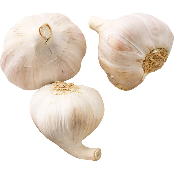 Christopher Ranch Colossal Garlic Same-Day Delivery | Costco Business ...