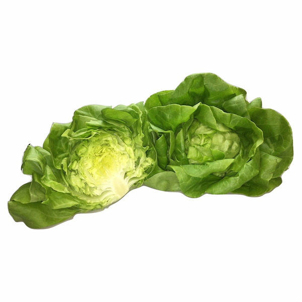 Butter Lettuce, 3-count Same-Day Delivery | Costco