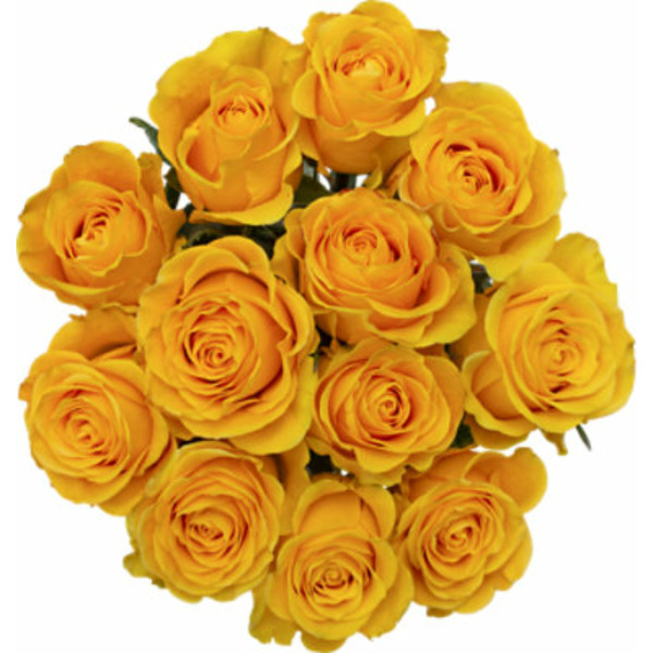 ACME Markets Debi Lilly Yellow Roses Same-Day Delivery or Pickup ...