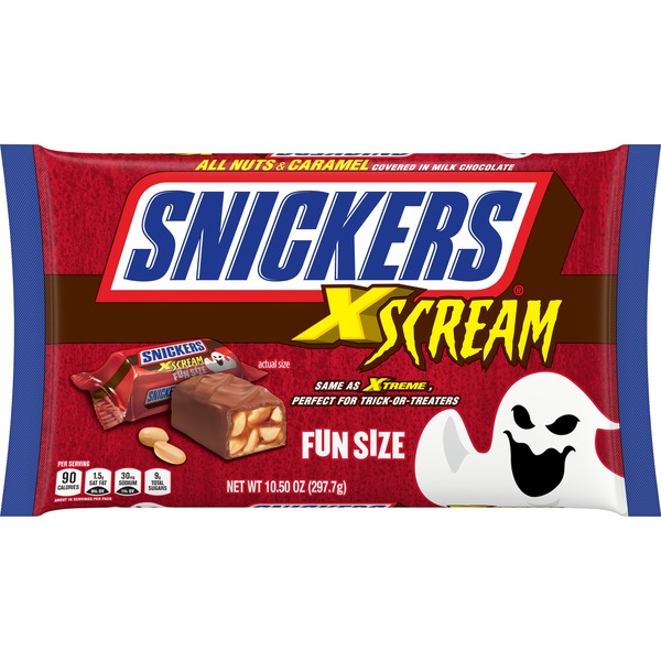 Snickers XScream Fun Size Halloween Candy (10.5 oz) - Instacart