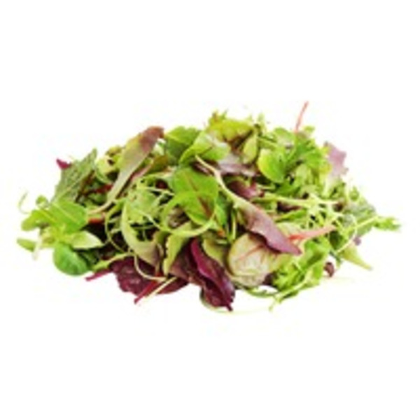 Fresh Attitude Spring Mix, Prewashed Same-Day Delivery | Costco