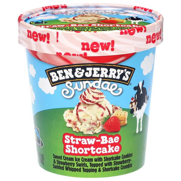 Publix Ben & Jerry's Straw-bae Shortcake Sundae Ice Cream Pint Same-Day ...