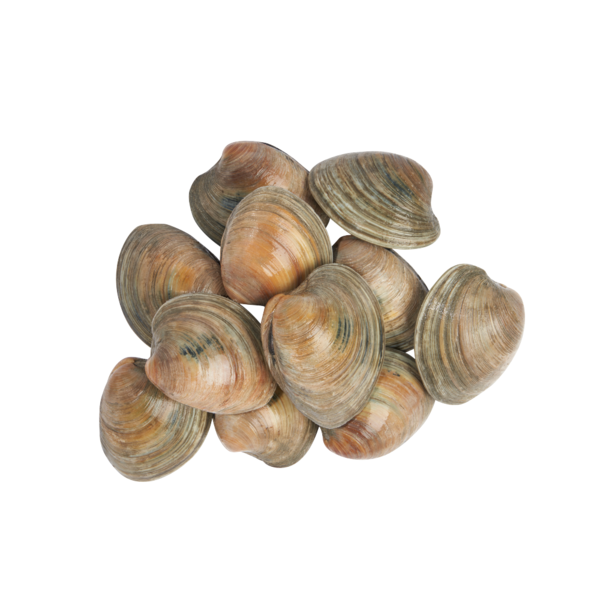 ShopRite Fresh Little Neck Clams Same-Day Delivery | Instacart