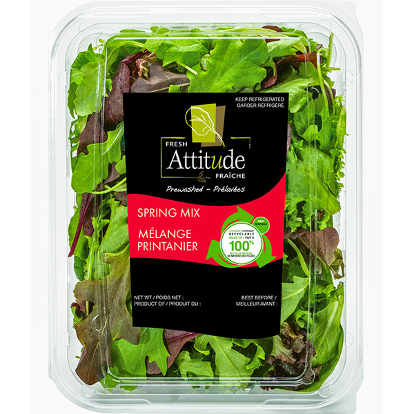 Publix Fresh Attitude Spring Mix Same-Day Delivery or Pickup | Instacart
