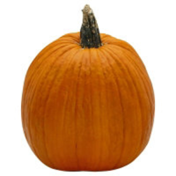 Safeway Large Pumpkins Bin Same-Day Delivery or Pickup | Instacart