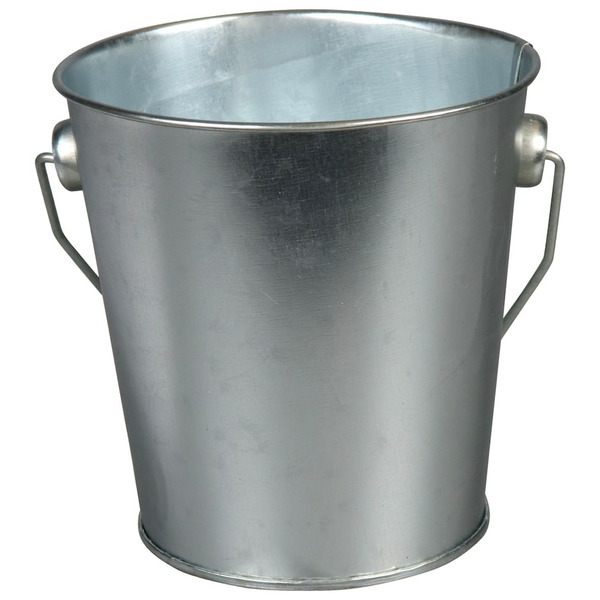 Dollar Tree Galvanized Pails, 4.5x4.125 Inch - Silver Same-Day Delivery ...
