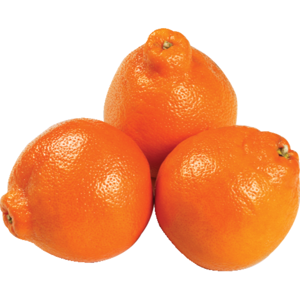 Organic Minneola Tangelo Same-Day Delivery or Pickup | Sprouts Farmers ...