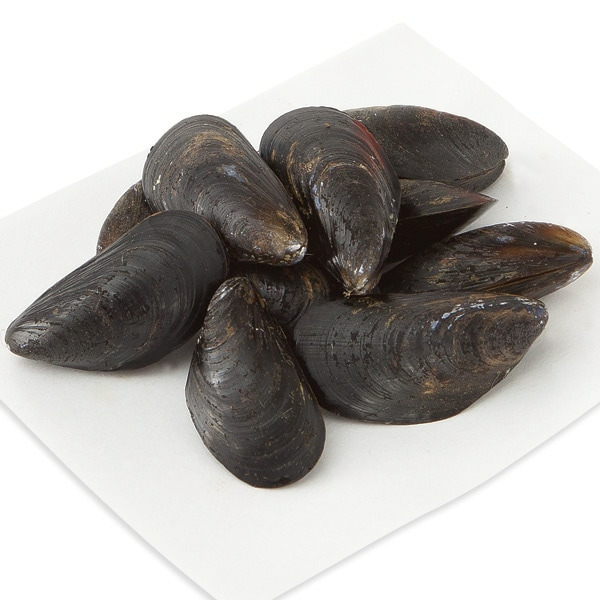Mussels, Live Farm Raised Same-Day Delivery or Pickup | Publix