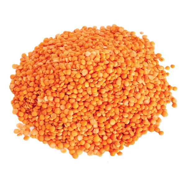 Hummingbird Wholesale Organic Decorticated Red Lentils Same-Day ...