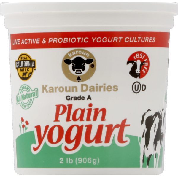 Karoun Yogurt, Plain (2 lb) - Instacart