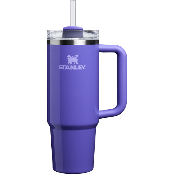 DICK'S Sporting Goods STANLEY Winter Wonderland Quencher H2.0 FlowState ...