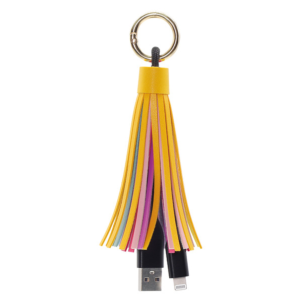 ALDI Bauhn Keychain Lightning Cable Same-Day Delivery or Pickup | Instacart