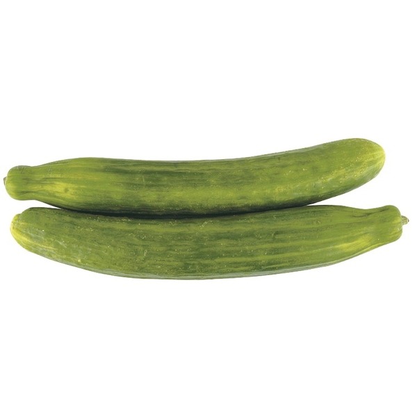 Seedless Cucumber