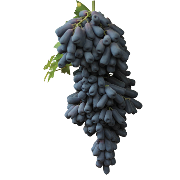 Sprouts Farmers Market Moon Drop Grapes Same-Day Delivery or Pickup ...
