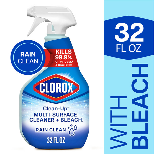 Clorox Clean-Up All Purpose Cleaner with Bleach, Spray Bottle, Rain ...
